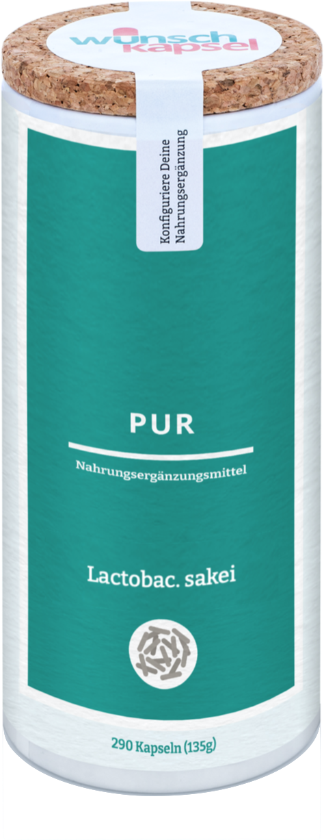 Lactobacillus Sakei